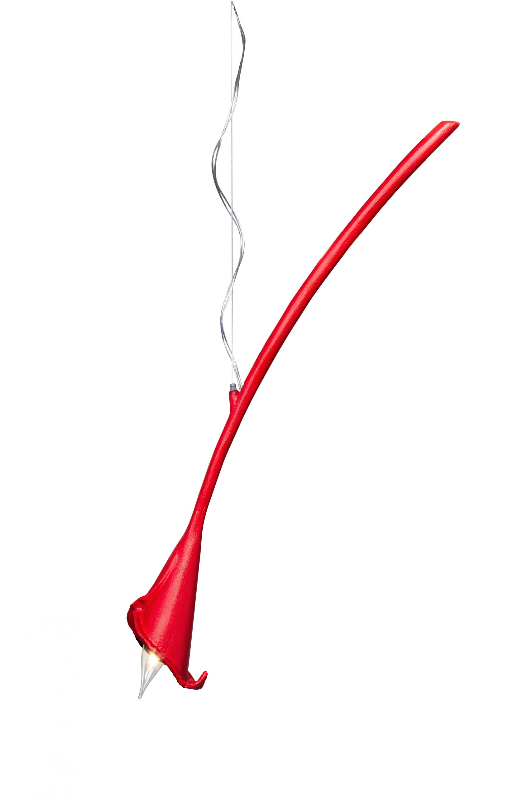 NEW PRODUCTS - Benediko